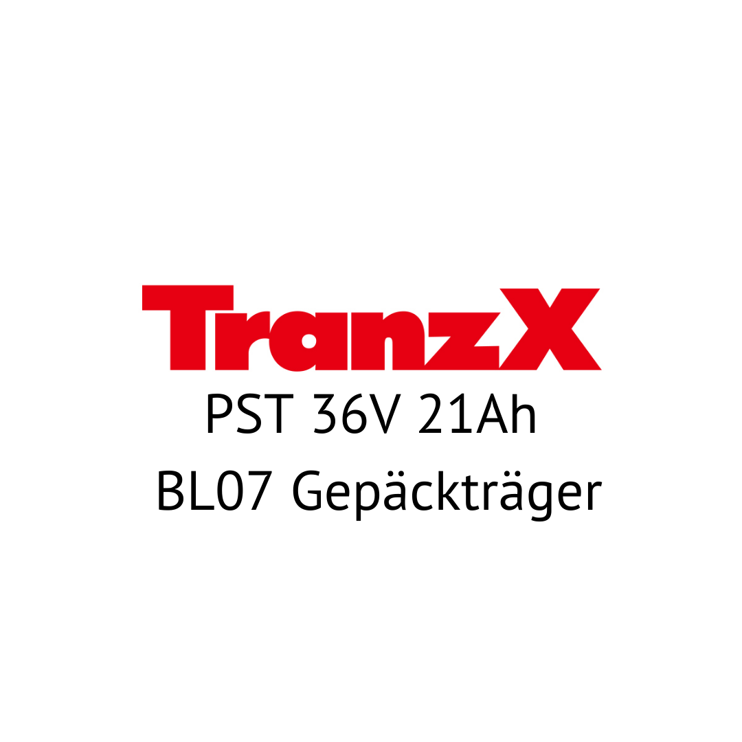 TranzX PST 36V 21Ah BL07 Gepäckträger E-Bike Akku Zellentausch ...